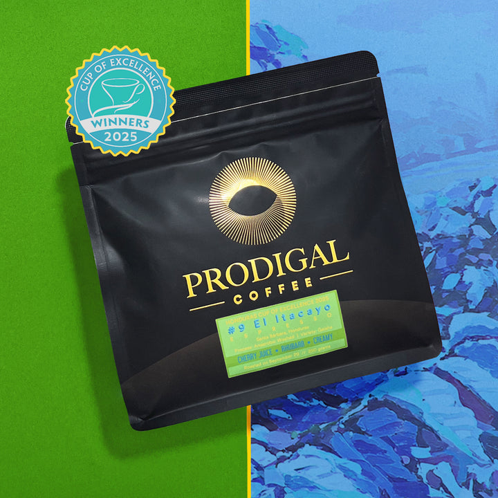 Roasted Coffee – Prodigal Coffee